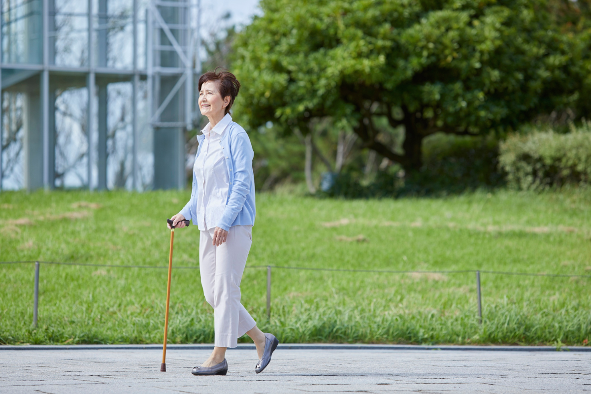 Best Destinations for a Stroll with Your Cane: Embrace Mobility in Sty ...