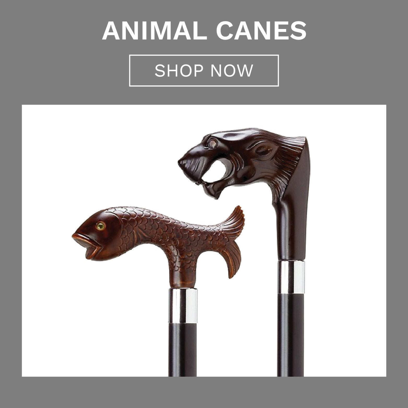 Animal Canes - WalkingCanes.com