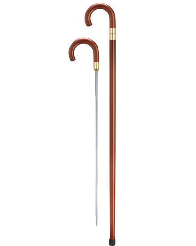 Collector's Sword Cane - WalkingCanes.com